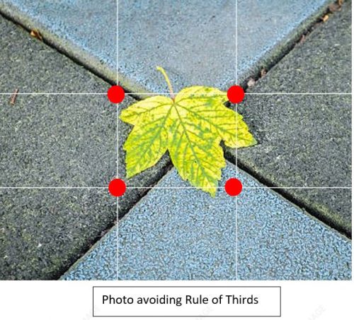 Rule of Thirds in Photography - Cut Out Image