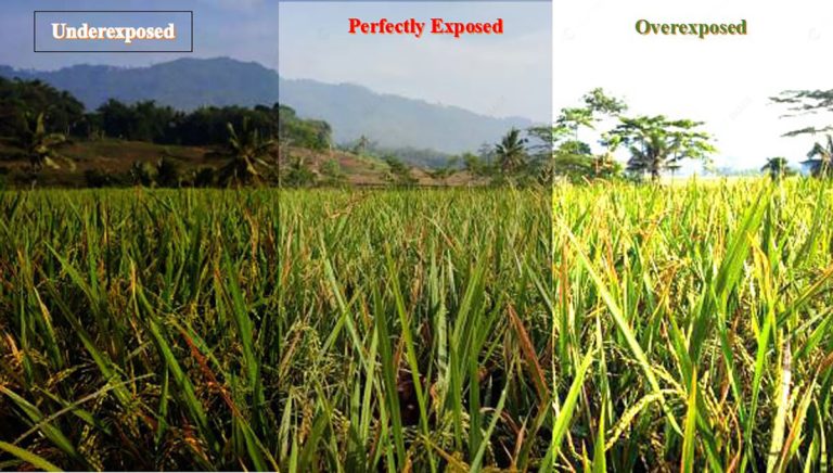 How to Fix an Overexposed Photo [Complete Guide]
